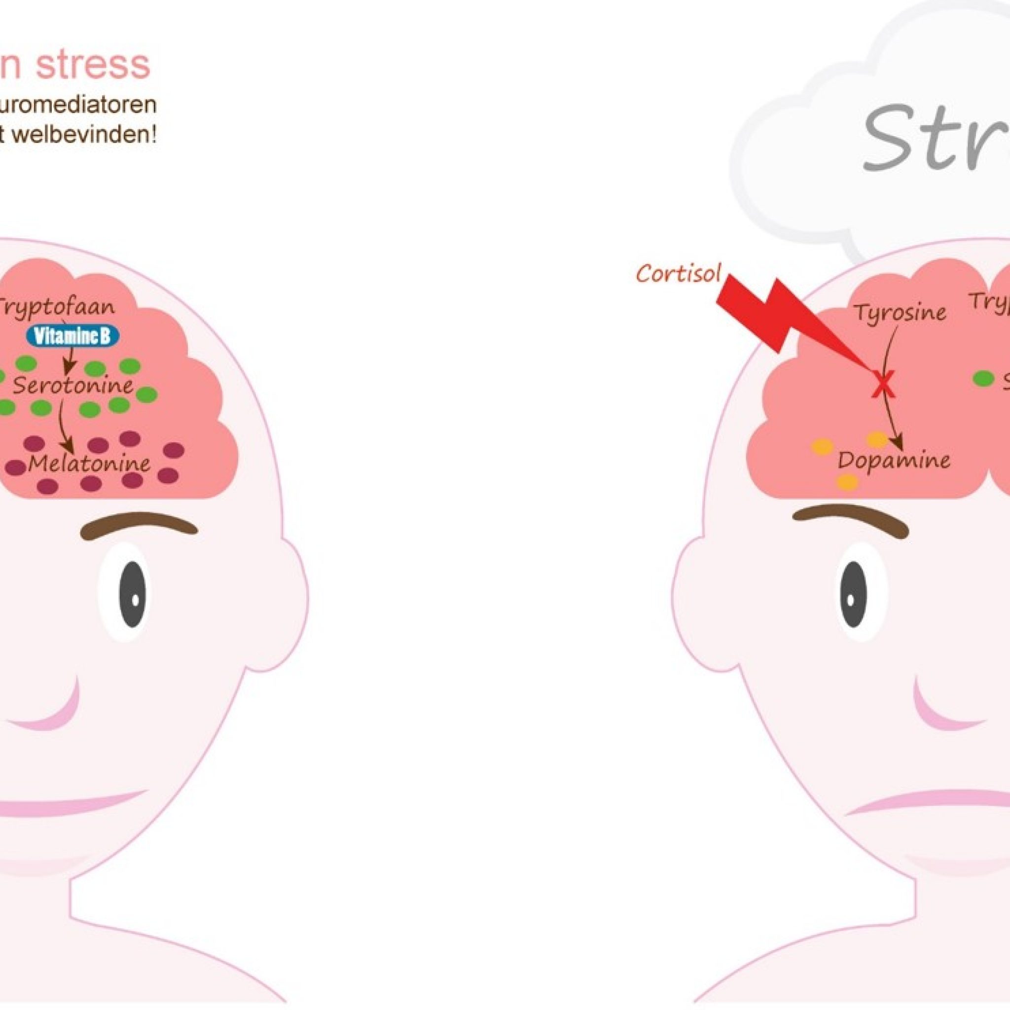 gevolgen stress - Gelukkige Mensen